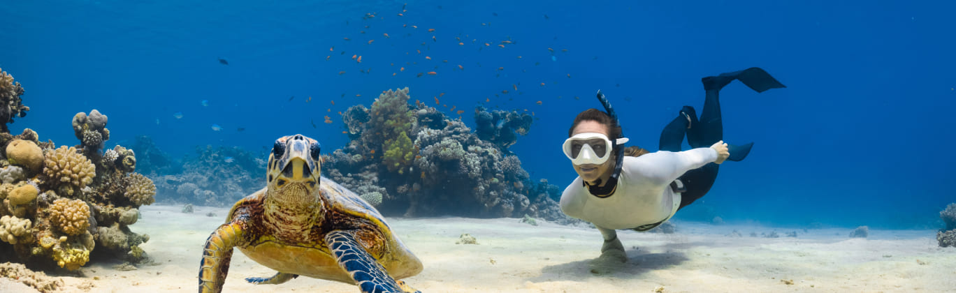 Саудовская Аравия - курорты и отели на сайте Coral Travel